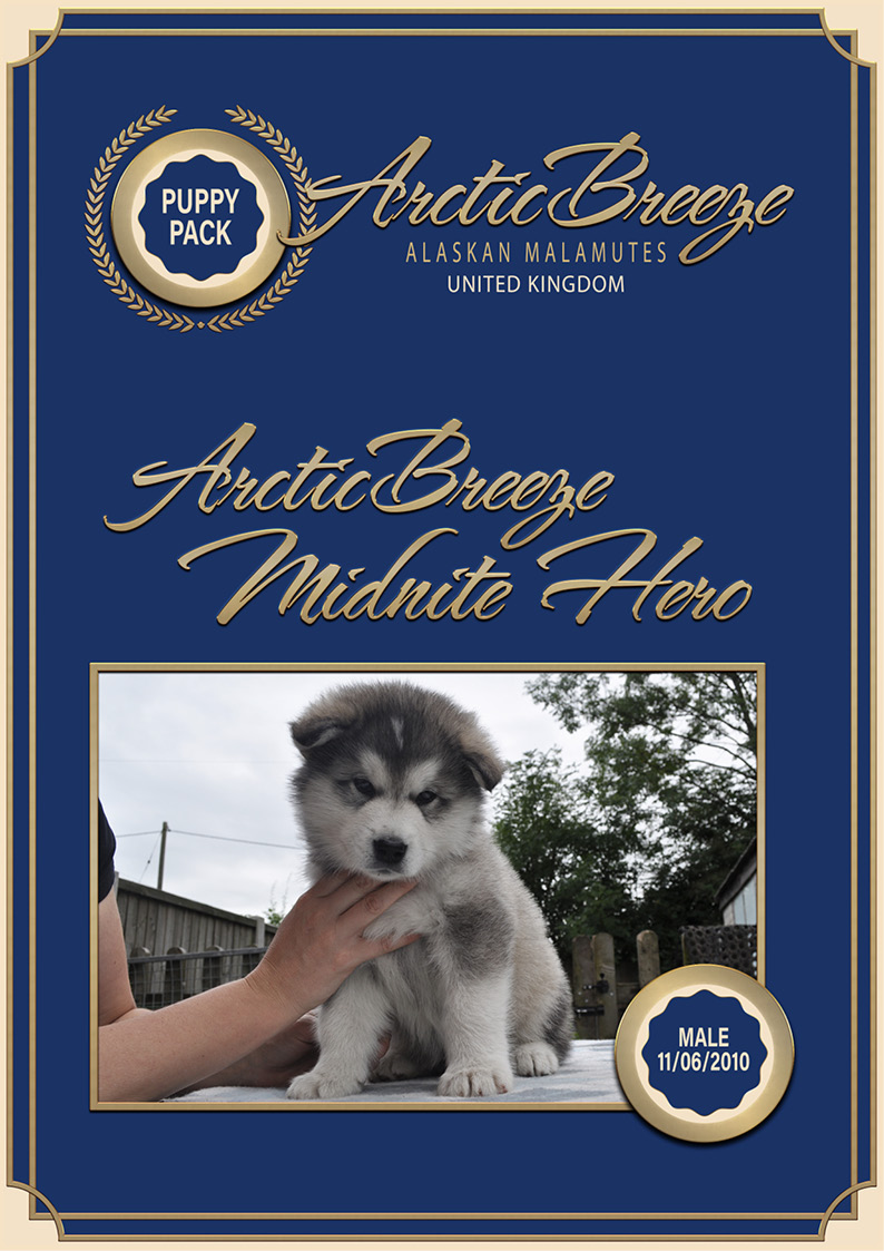 Whats Included In A Puppy Pack